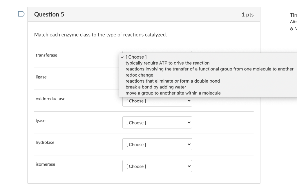 Solved Question 5 1 pts Tim Atte 6N Match each enzyme class | Chegg.com