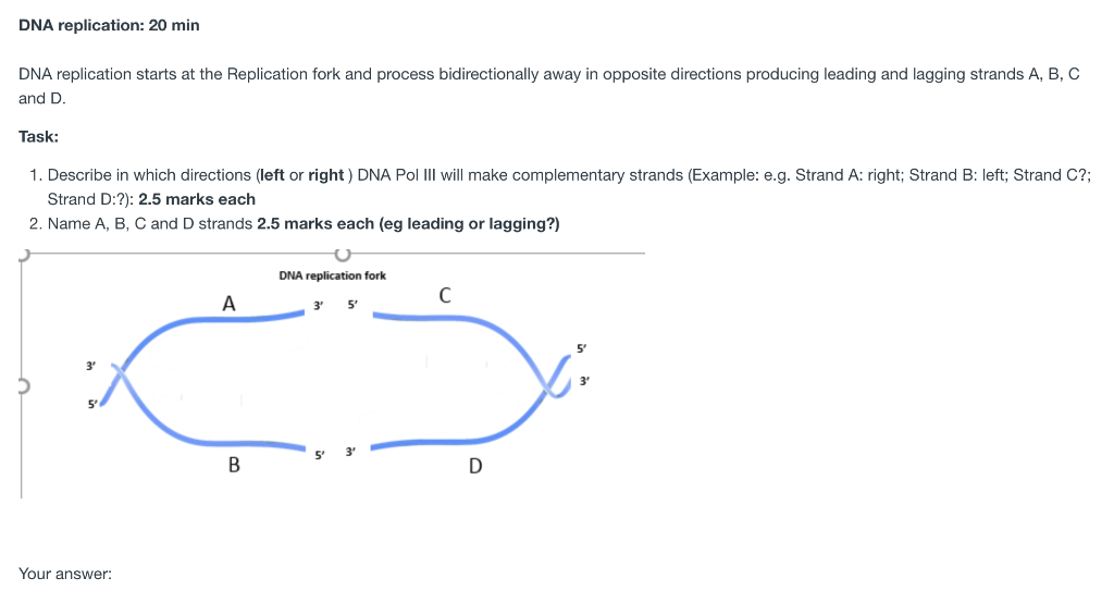 Solved DNA replication: 20 min DNA replication starts at the | Chegg.com