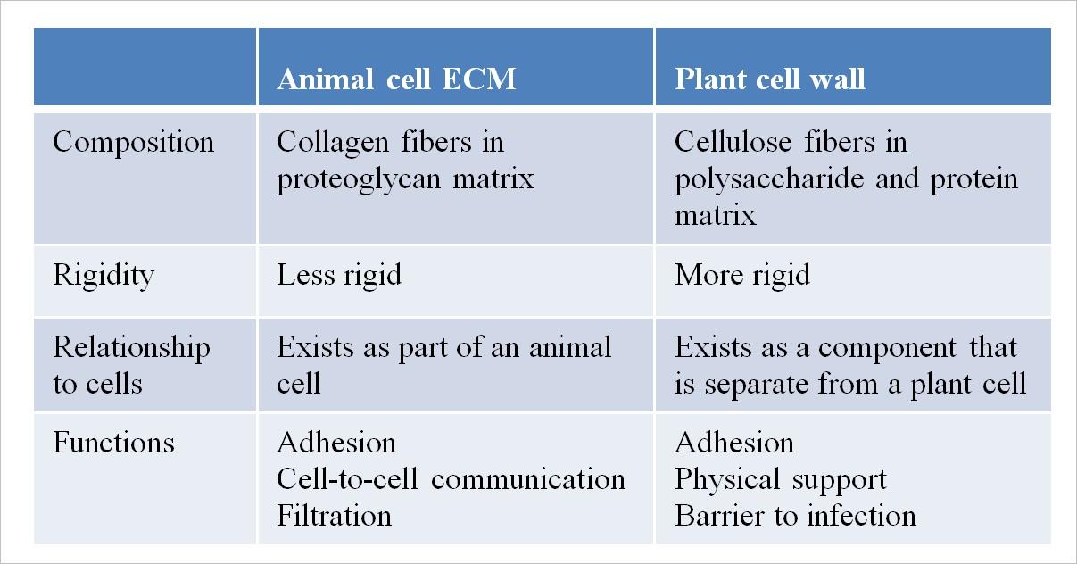 Solved Refer to the table. A student created the table to | Chegg.com