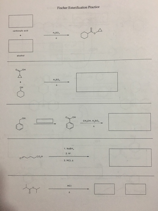 Solved Fischer Esterification Practice carboxylic acid H.50 | Chegg.com