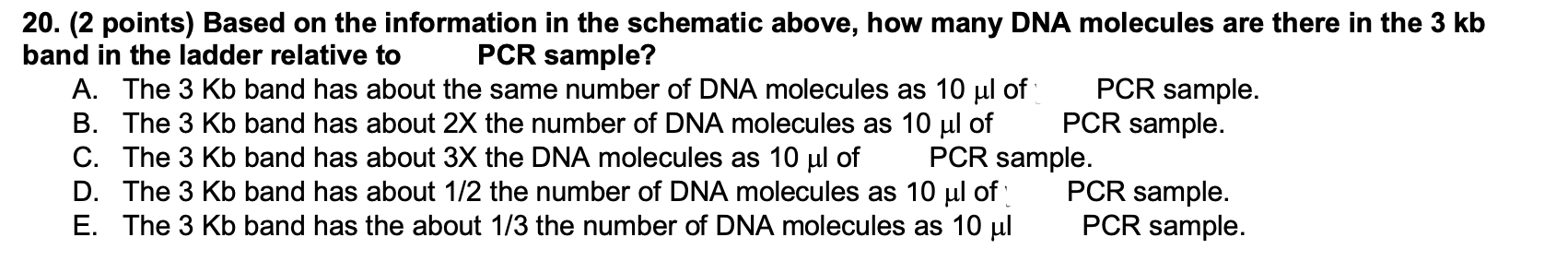 Solved ran a small sample, 10 microliters (ul) of PCR sample | Chegg.com