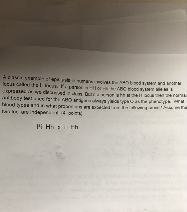 Solved A classic example of epistasis in humans involves the | Chegg.com
