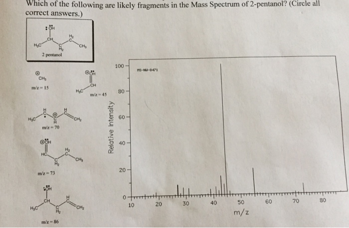 Solved Which of the following are likely fragments in the | Chegg.com