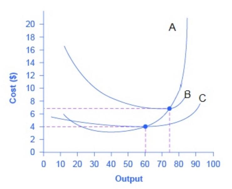 Solved What do A, B and C tell us in the following graph? | Chegg.com