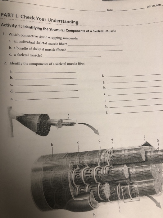 Solved Lab Section: Date: PART 1. Check Your Understanding | Chegg.com