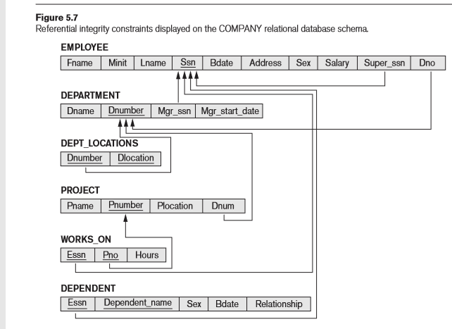 Solved Write the following queries in SQL select statements. | Chegg.com