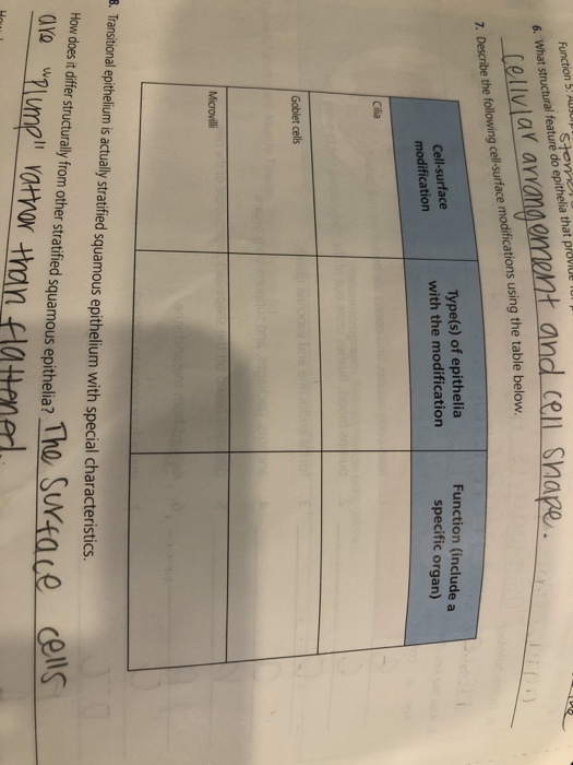 Solved Function 5.: Ausonp 6. What structural feature do | Chegg.com