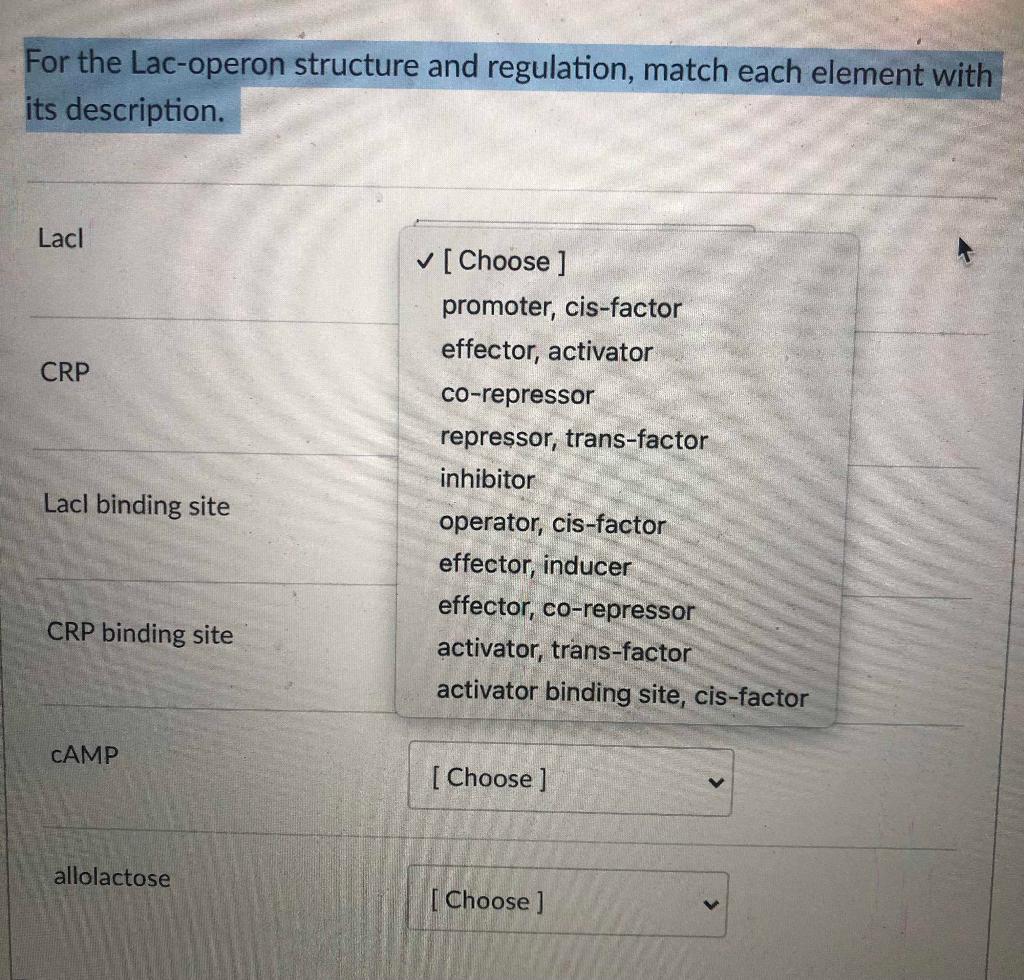 Solved For the Lac-operon structure and regulation, match | Chegg.com