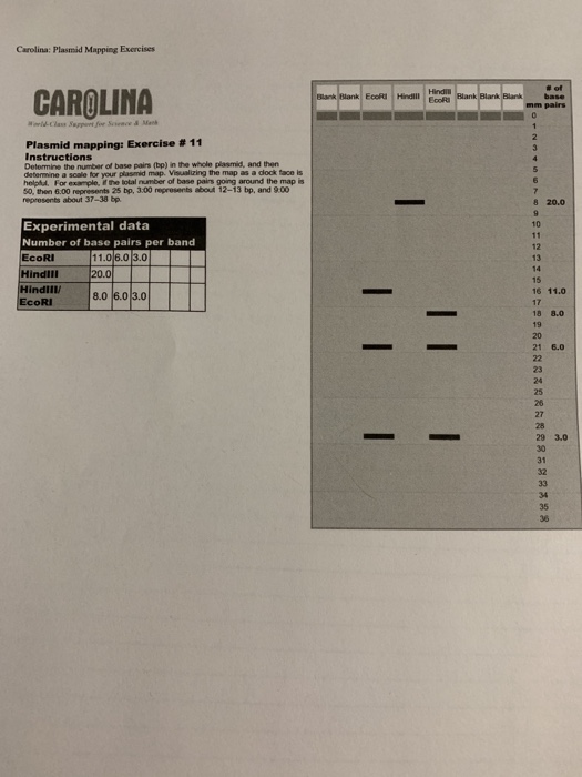 Solved Carolina Plasmid Mapping Exercises Carolina 1362