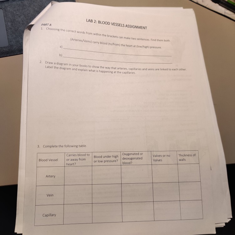 Solved LAB 2: BLOOD VESSELS ASSIGNMENT PARTA 1. Choosing the | Chegg.com