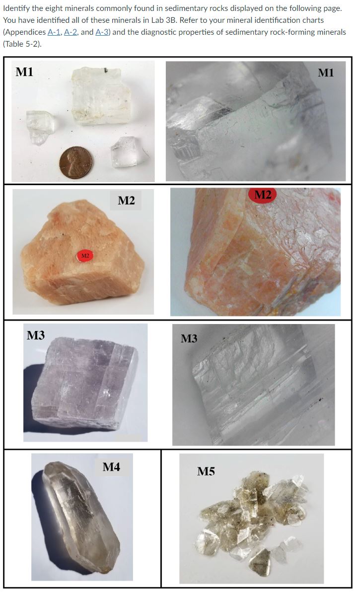 Solved M3 reacts with HCl. Mineral 1 [ Choose ] calcite | Chegg.com