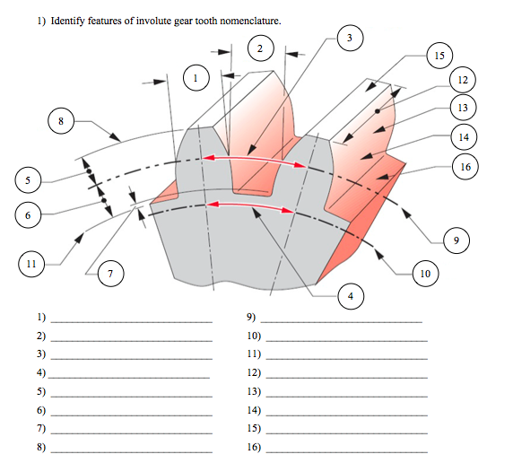 Solved )Identify features of involute gear tooth | Chegg.com