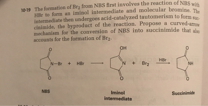 Solved of NBS with HBr to form an iminol intermediate and | Chegg.com