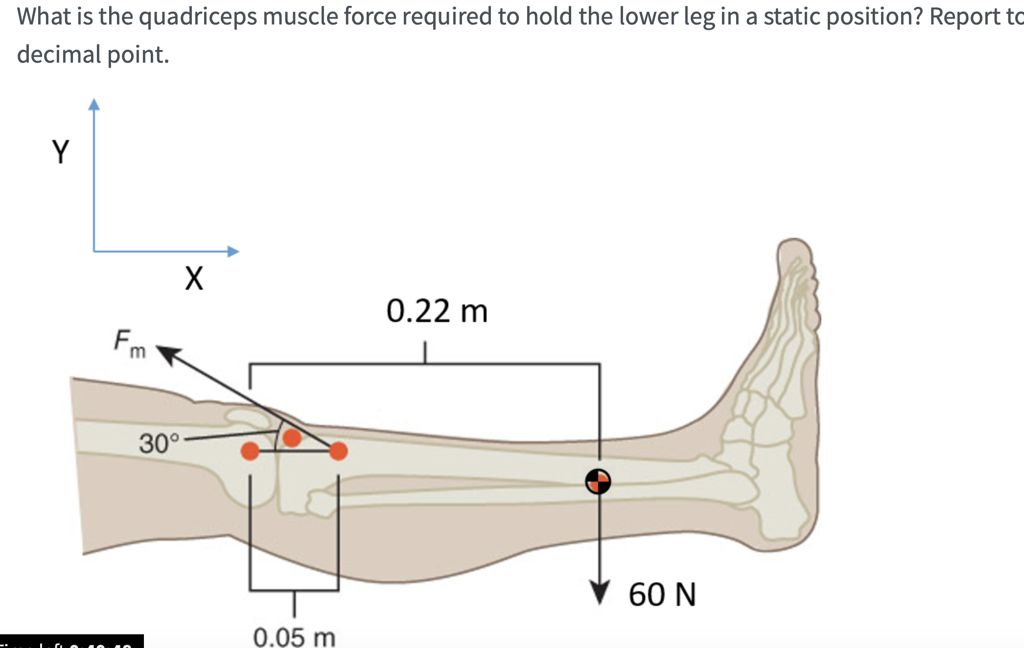 Solved What is the quadriceps muscle force required to hold | Chegg.com