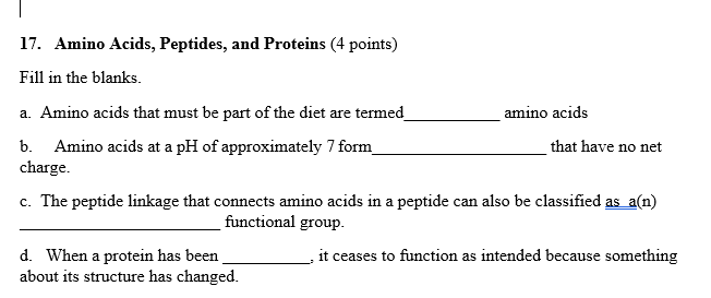 Solved 17. Amino Acids, Peptides, and Proteins (4 points) | Chegg.com