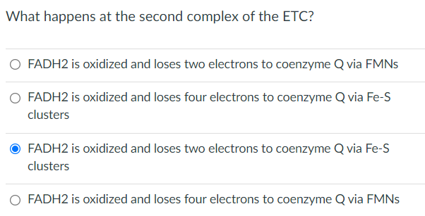 Solved What happens at the second complex of the ETC? FADH2 | Chegg.com