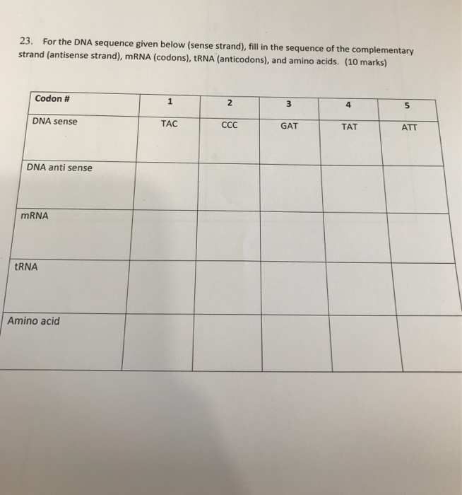 Solved 23. For the DNA sequence given below (sense strand), | Chegg.com