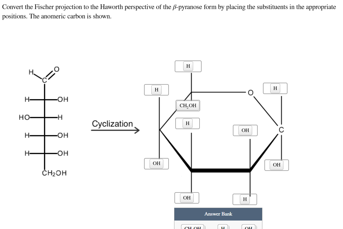 Solved Convert the Fischer projection to the Haworth | Chegg.com