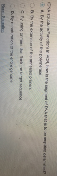 Solved (DNA structure/Function) In PCR, how is the segment | Chegg.com