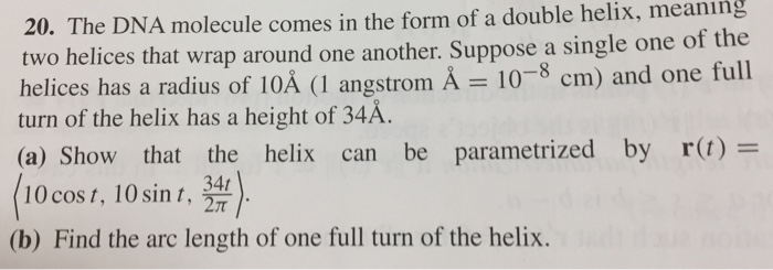 Solved The DNA molecule comes in the form of a double helix, | Chegg.com