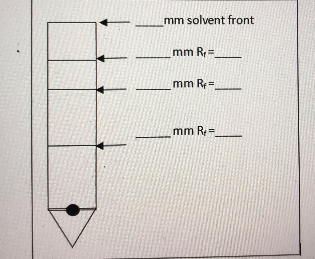 Fill in the blanks in the following paragraph | Chegg.com