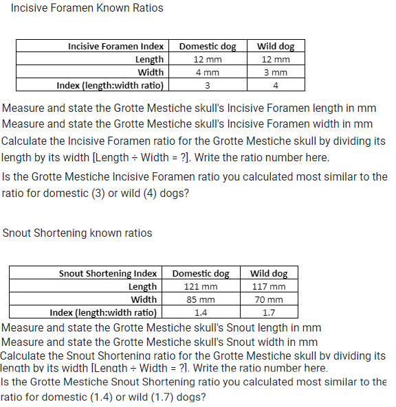 Solved Incisive Foramen Known Ratios Measure and state the | Chegg.com