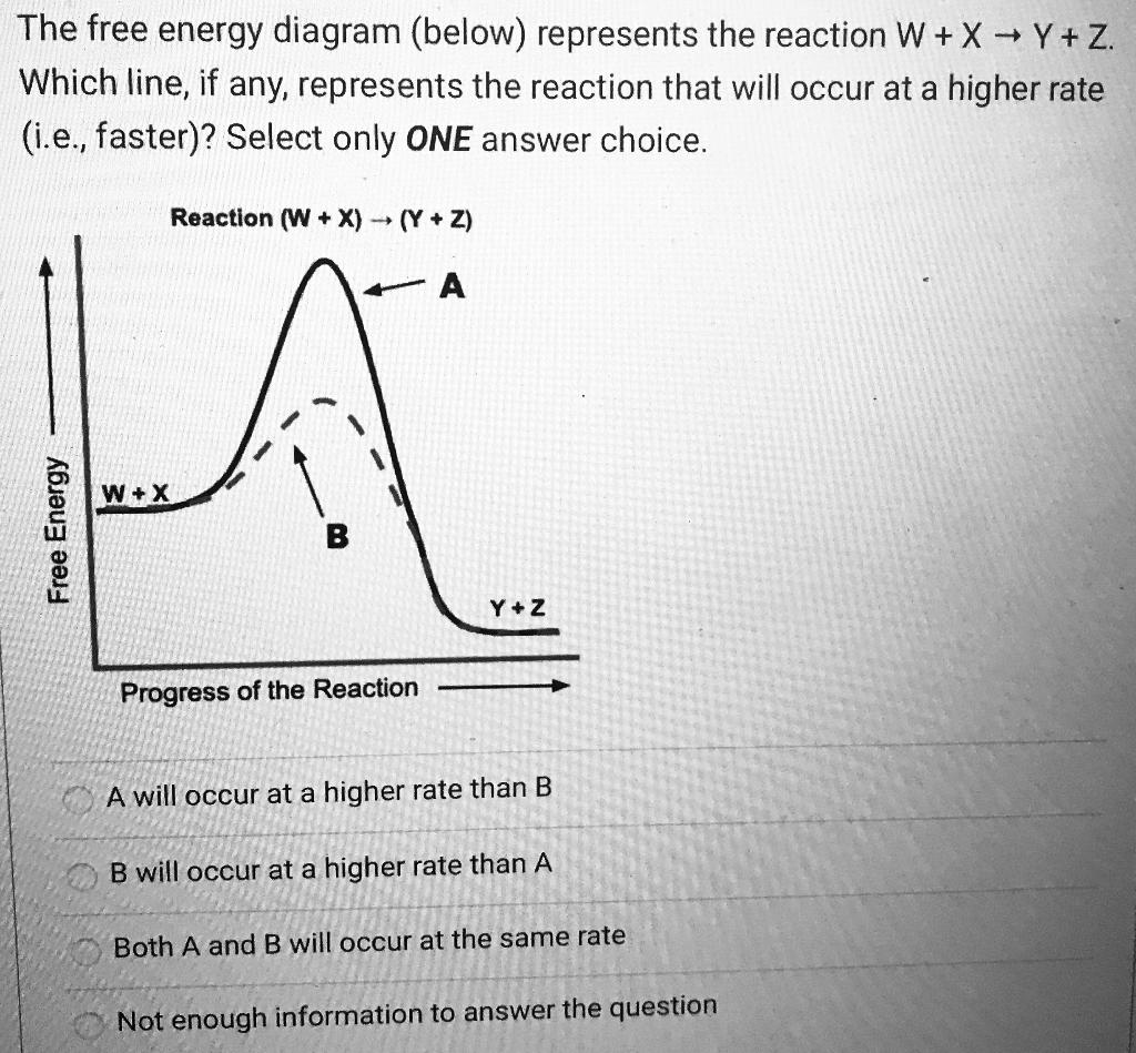 Solved The free energy diagram (below) represents the | Chegg.com
