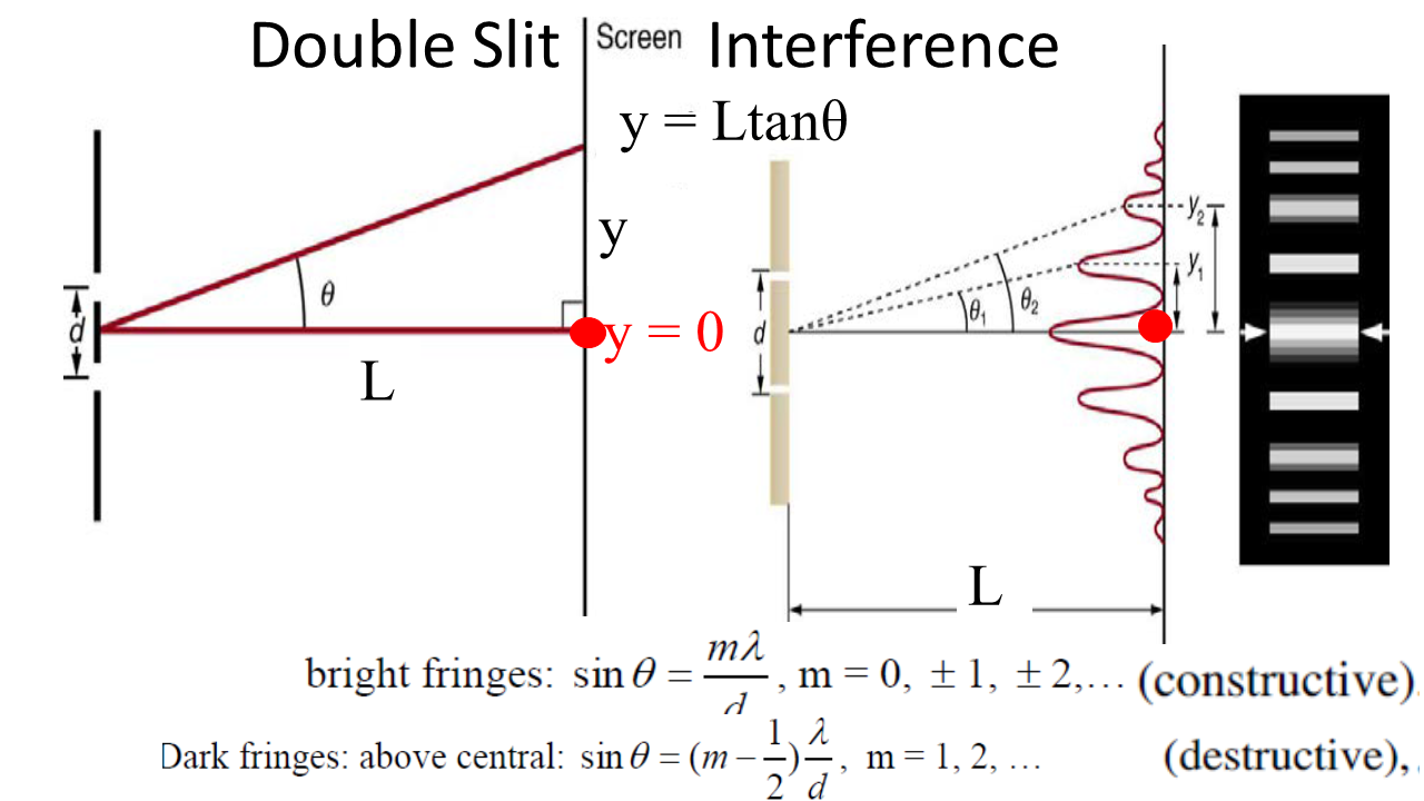 Solved Double Slit Screen Interference y = Ltano آلا - ГУ il | Chegg.com