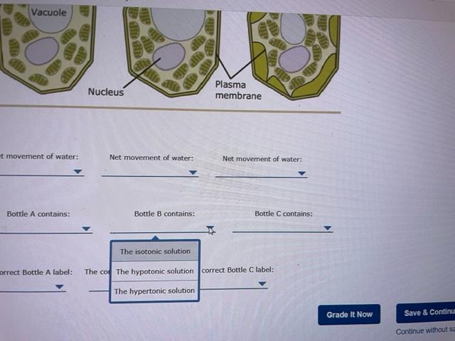 Solved The correct Bottle A label: The correct Bottle B | Chegg.com