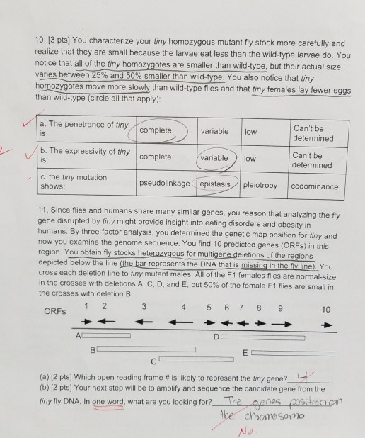 Solved + 160 [1 pt] At what stage of the meiotic cell cycle | Chegg.com
