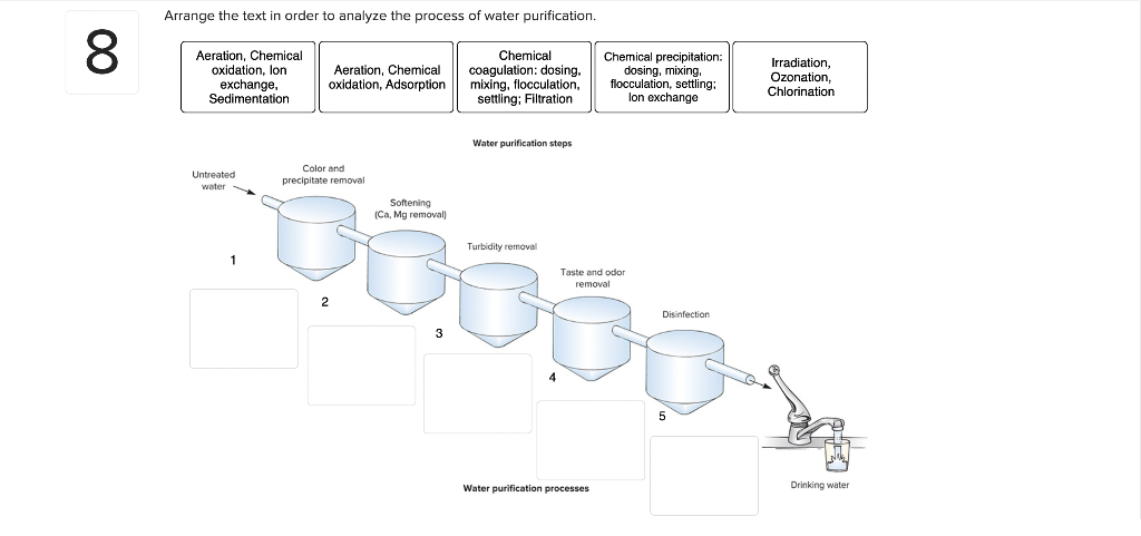 Solved Arrange the text in order to analyze the process of | Chegg.com