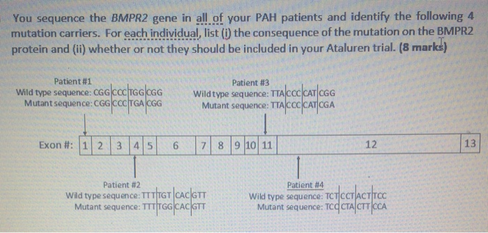 Solved You sequence the BMPR2 gene in all of your PAH | Chegg.com