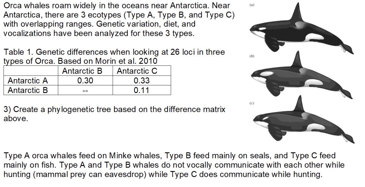 (a) Orca whales roam widely in the oceans near | Chegg.com