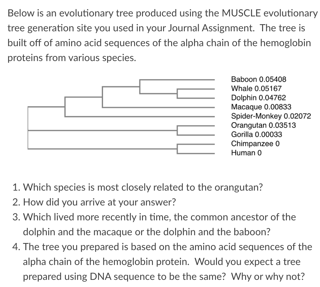Solved Below is an evolutionary tree produced using the | Chegg.com