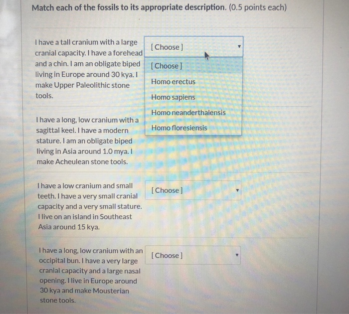 Solved Match each of the fossils to its appropriate | Chegg.com