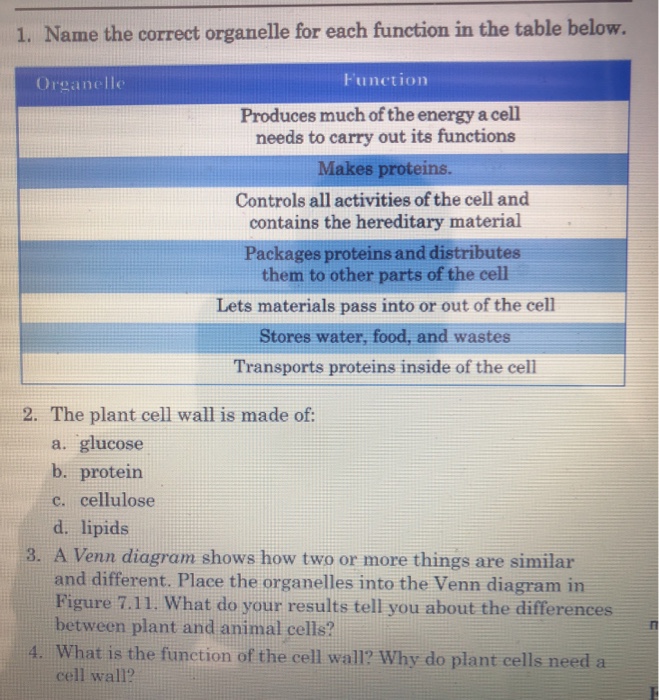 Solved 1. Name the correct organelle for each function in | Chegg.com
