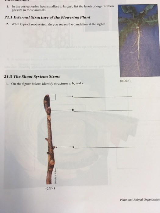 Solved In the correct order from smallest to largest, list | Chegg.com