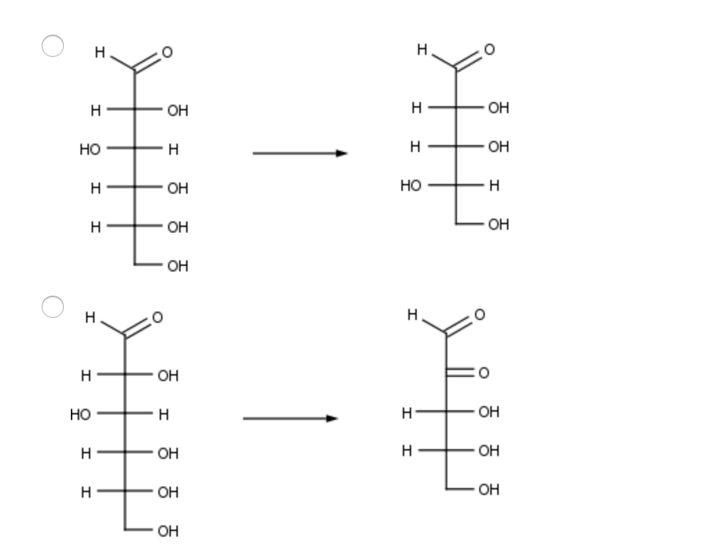 Solved 33. When D-glucose undergoes a Wohl degradation | Chegg.com