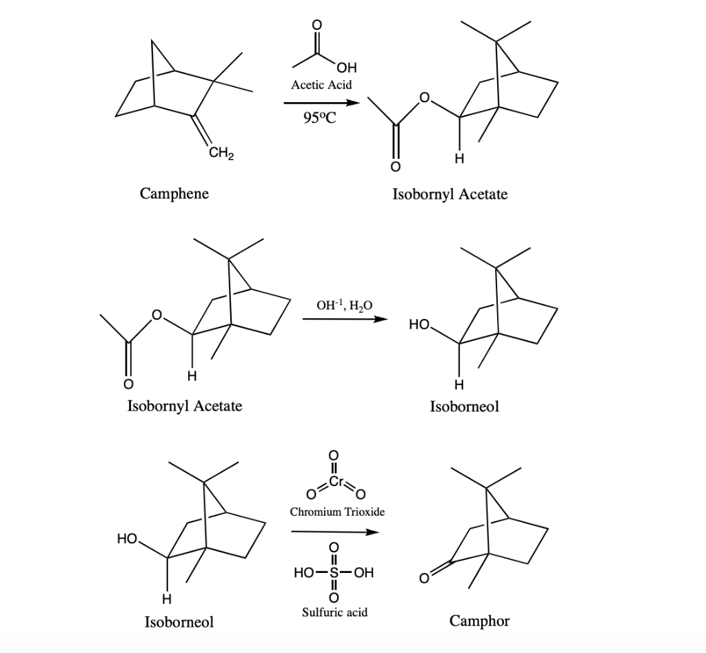 Solved Provided is the overall reaction of camphene to | Chegg.com
