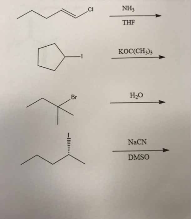 Solved Cl NH3 THF KOC(CH3) Br NaCN DMSO | Chegg.com
