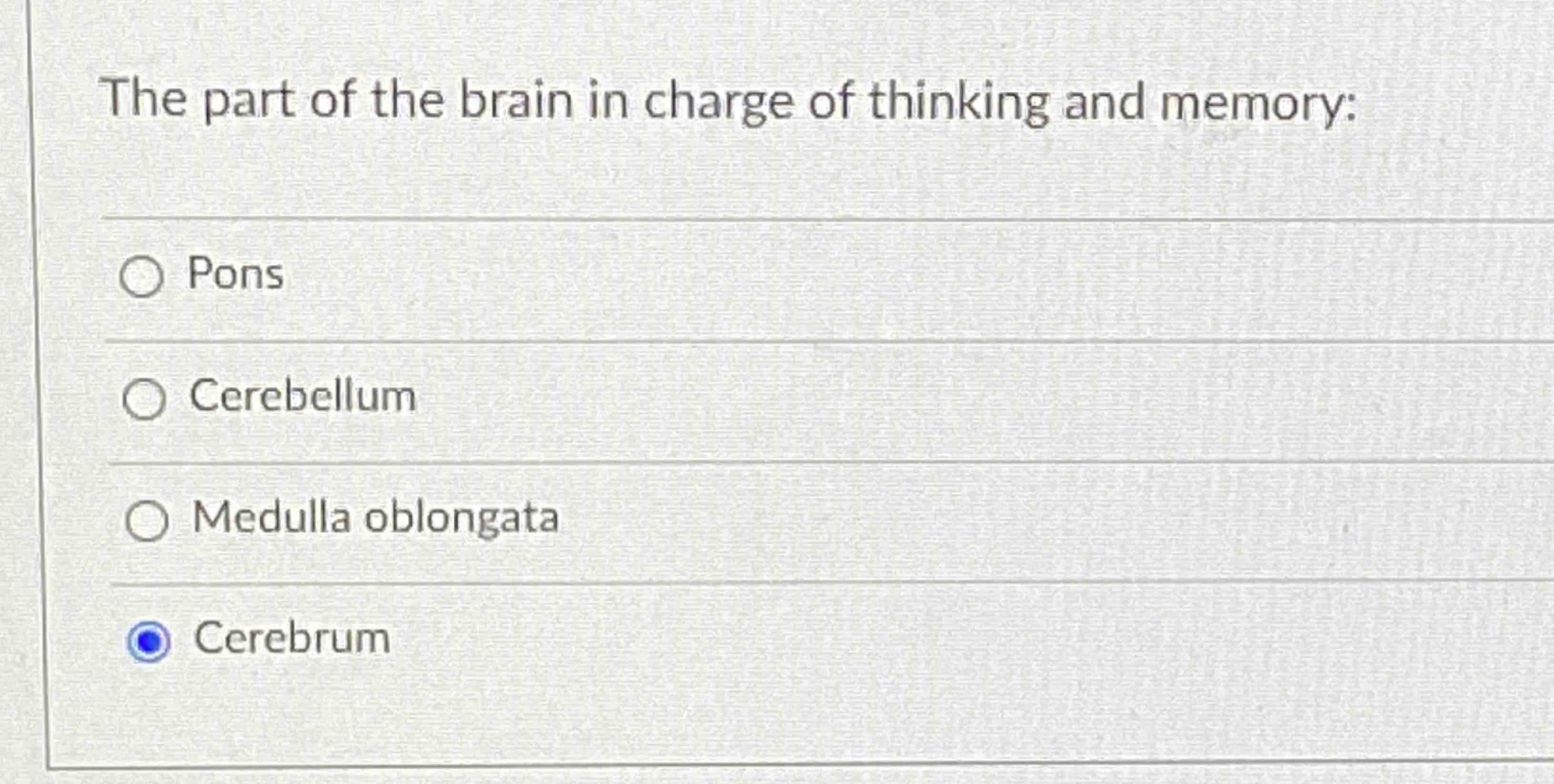 Solved The part of the brain in charge of thinking and | Chegg.com