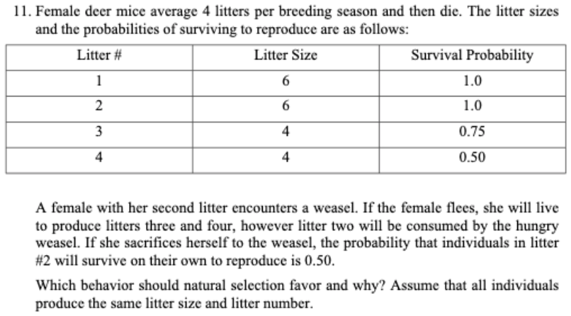 Solved 11. Female deer mice average 4 litters per breeding | Chegg.com