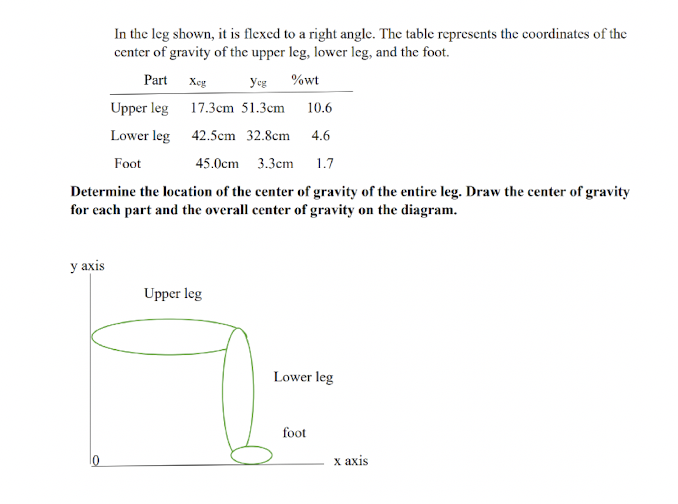 Solved In the leg shown, it is flexed to a right angle. The | Chegg.com