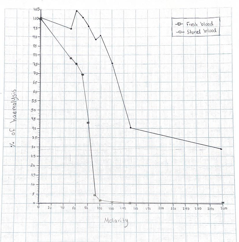 Solved As shown in graph hemolysis of fresh blood decrease | Chegg.com