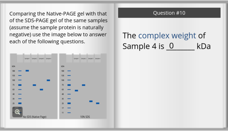 Solved Question #4 Comparing the Native-PAGE gel with that | Chegg.com