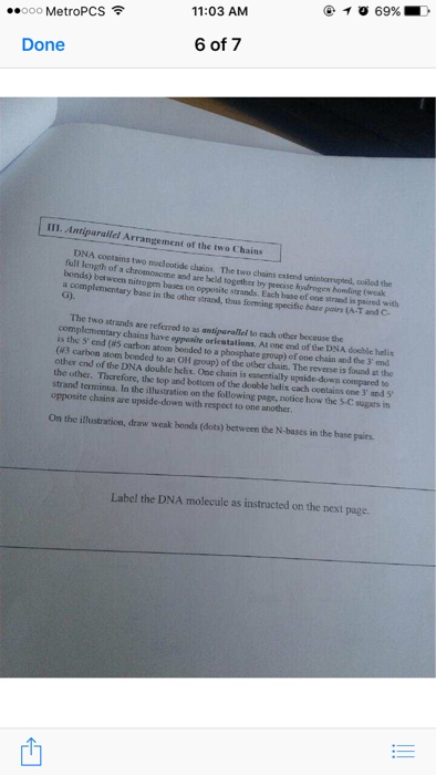 Solved DNA contains two nucleotide chains, The two chains | Chegg.com