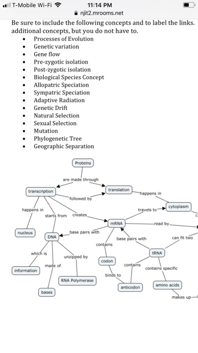 use the terms below to create a concept map to see | Chegg.com