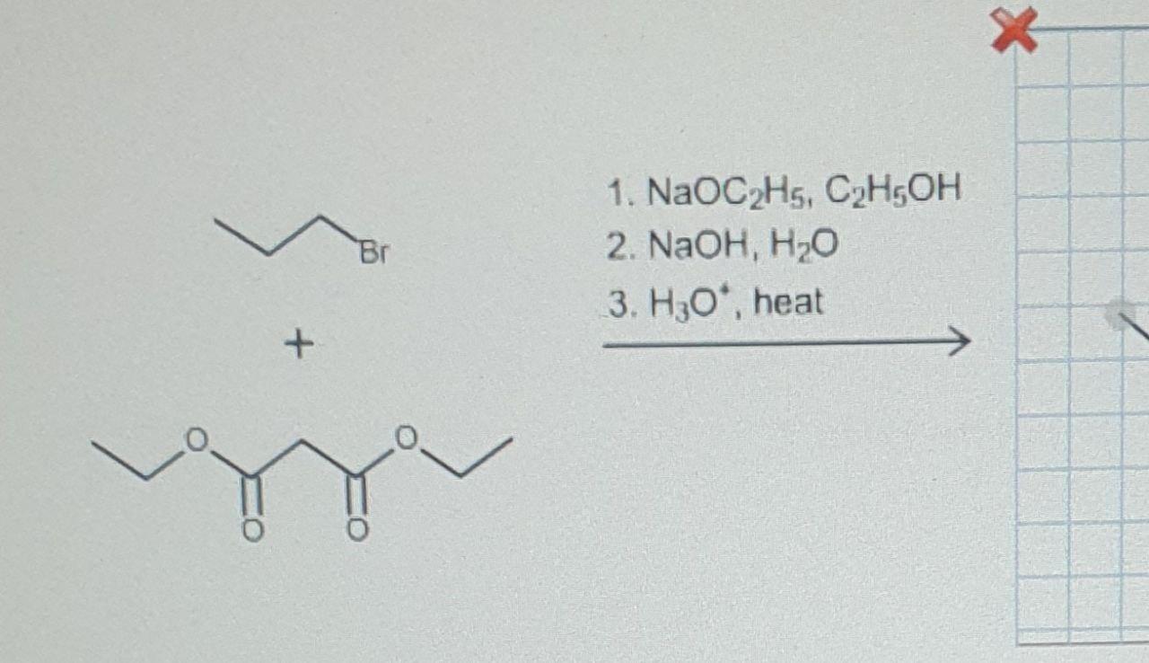 Solved 1. NaOC2H5,C2H5OH 2. NaOH,H2O 3. H3O+, heat | Chegg.com