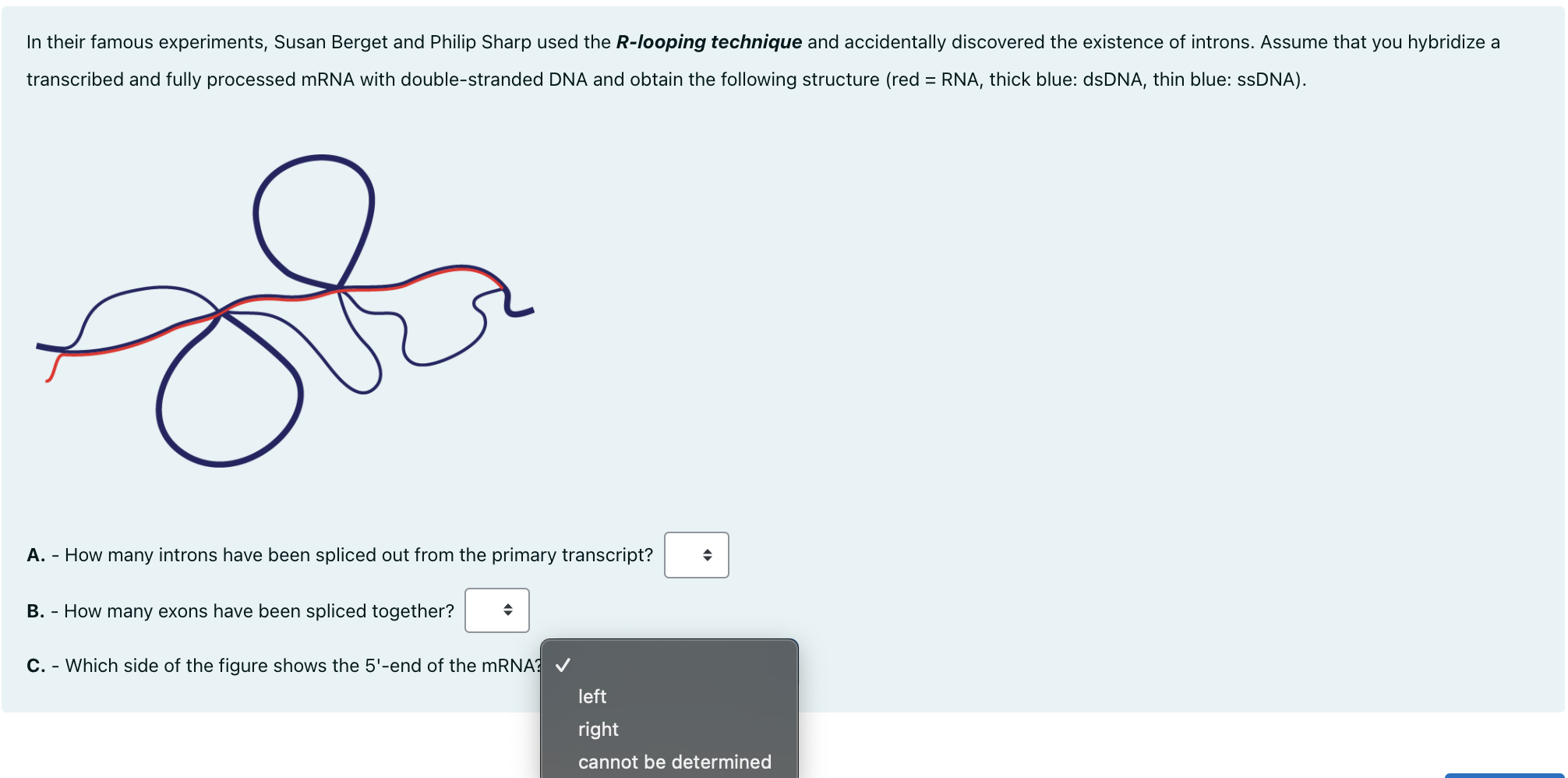 Solved In their famous experiments, Susan Berget and Philip | Chegg.com