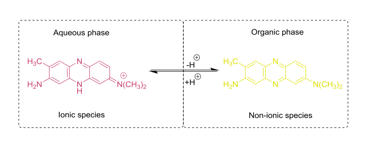 Solved Application of Acid and Base Workup Procedures Write | Chegg.com